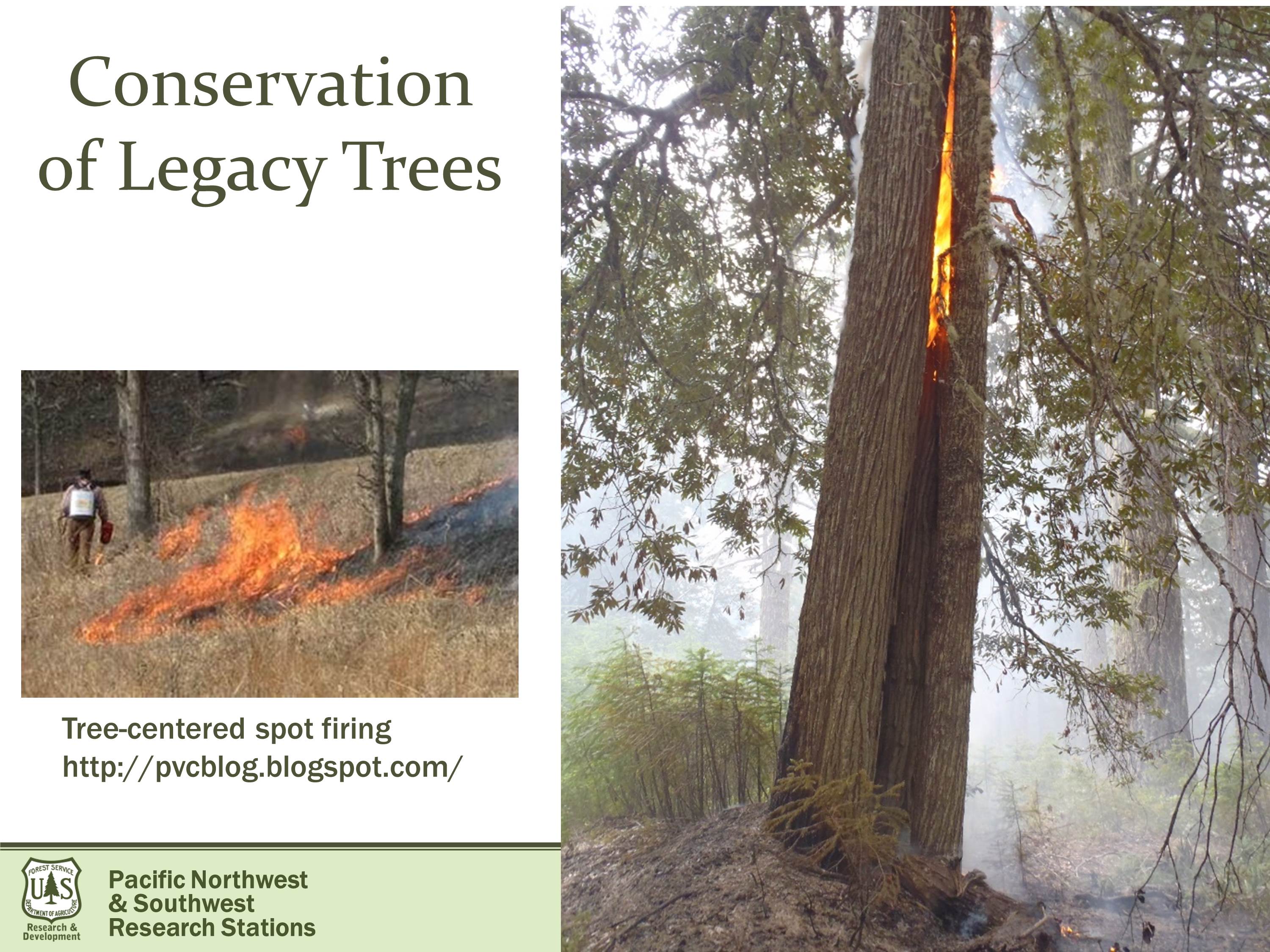 Recent Trends in Large Hardwoods in the Pacific Northwest ...