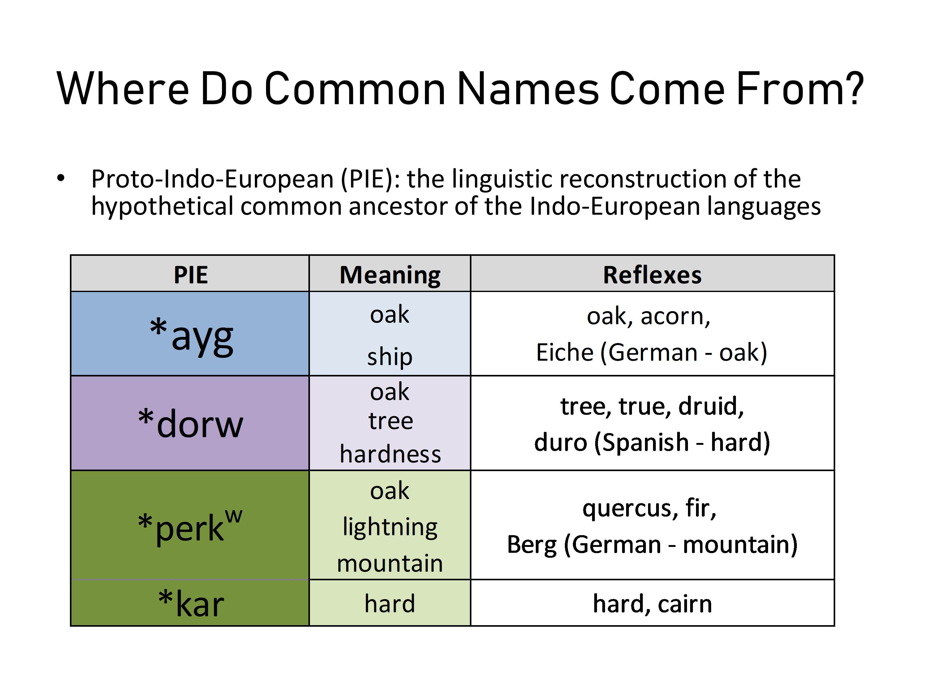 The Problem with Spanish Oak Names | International Oak Society