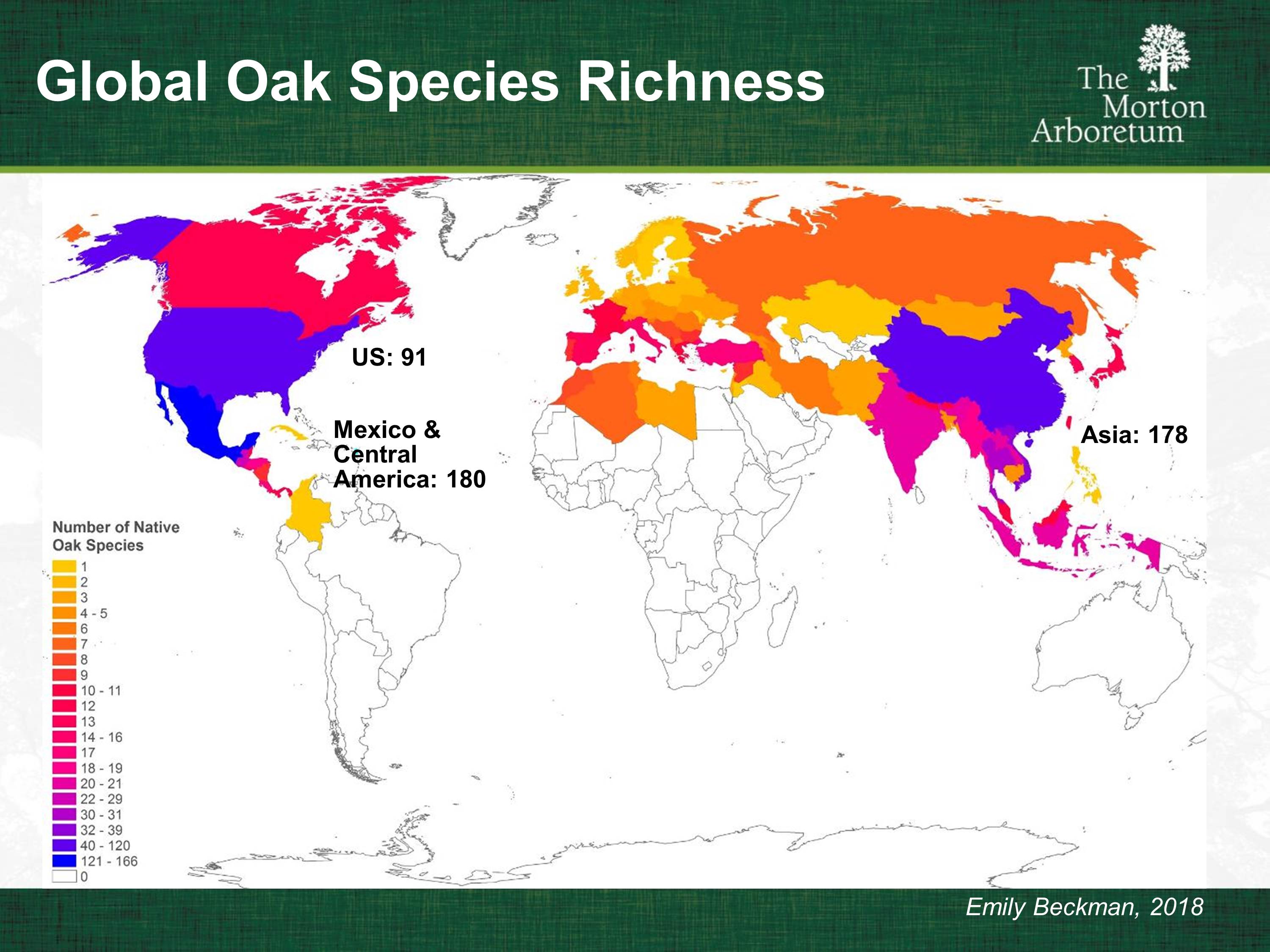 Using the IUCN Red List to Assess the Global Status of Oaks ...