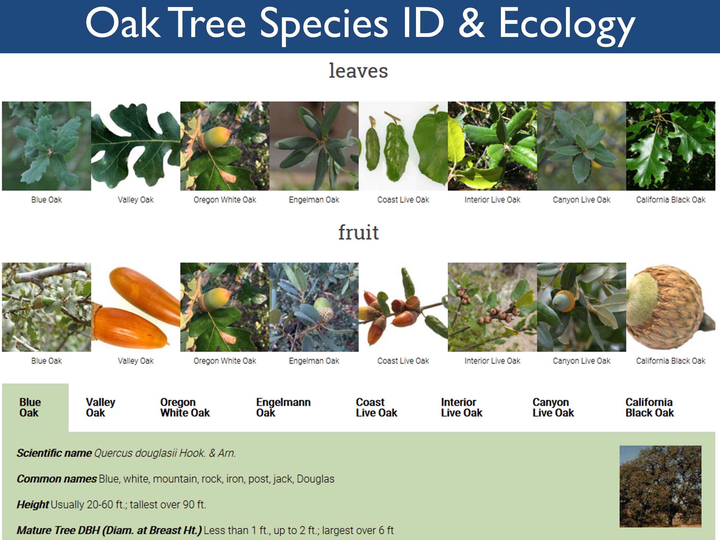 Sharing Oak Woodland Research through a Popular Website | International ...