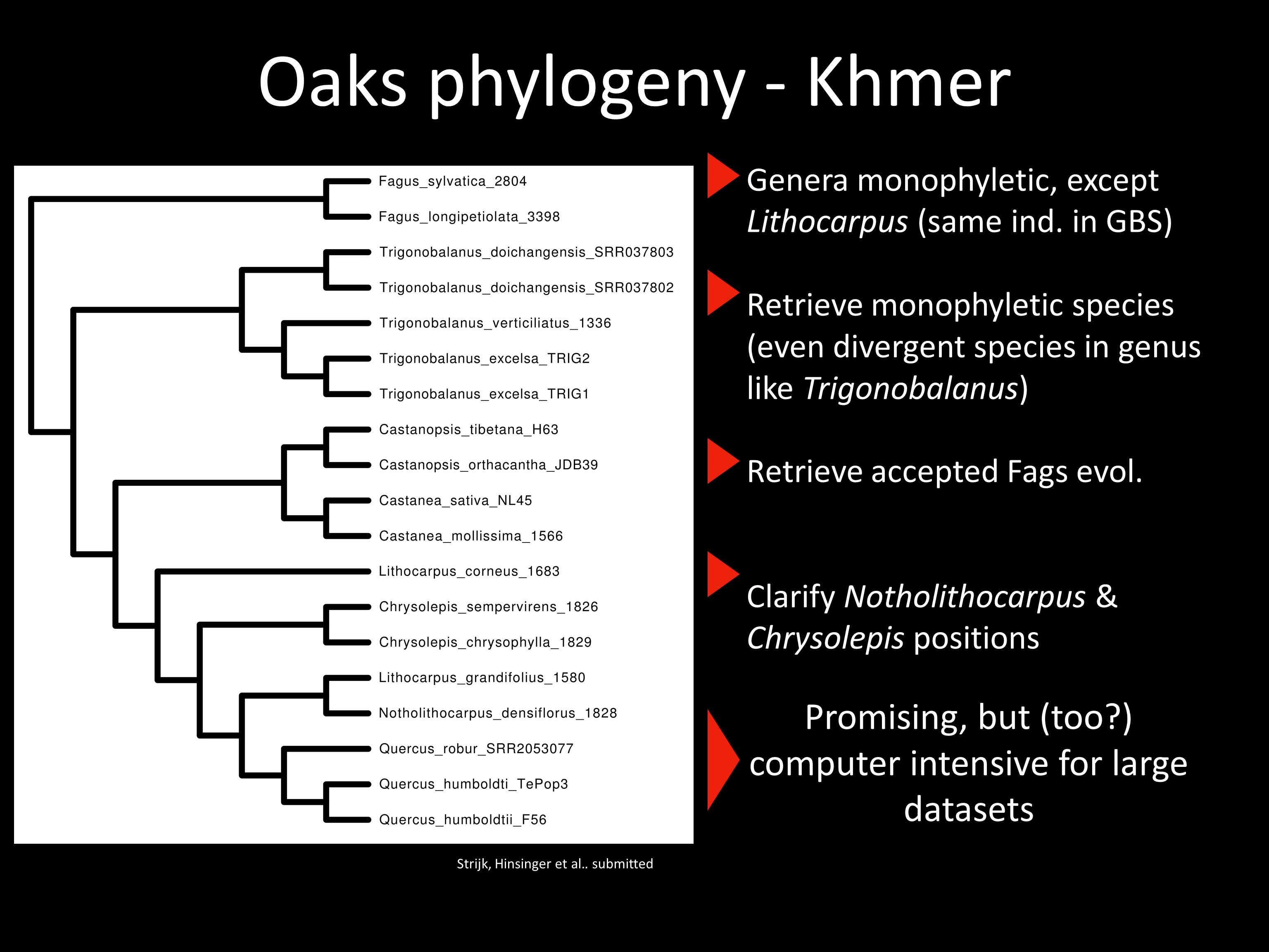 Combining Molecular Data to Reconstruct Oak Evolution | International ...
