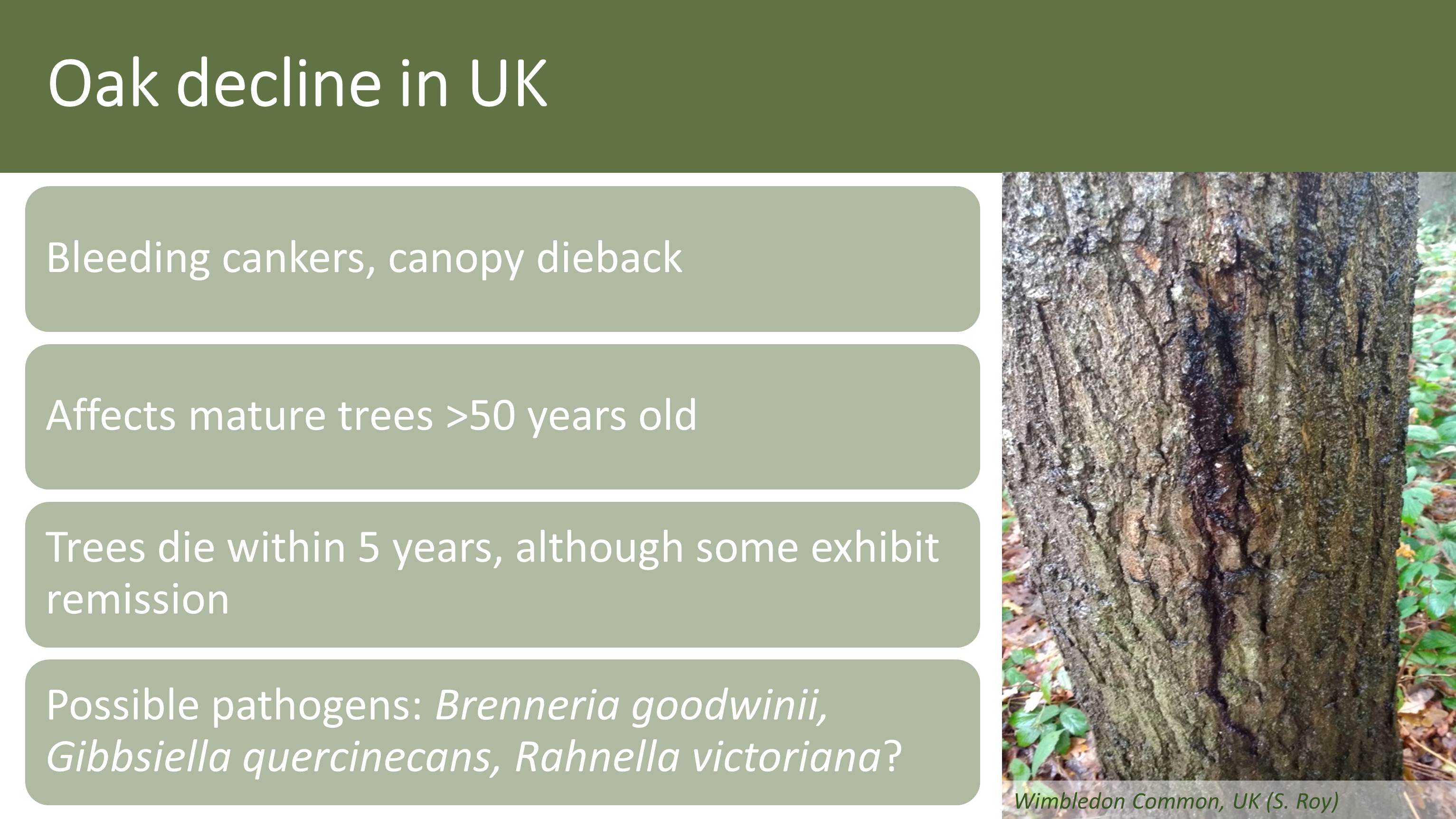 Evaluating Impact of Disease on Microbial and Insect Populations ...