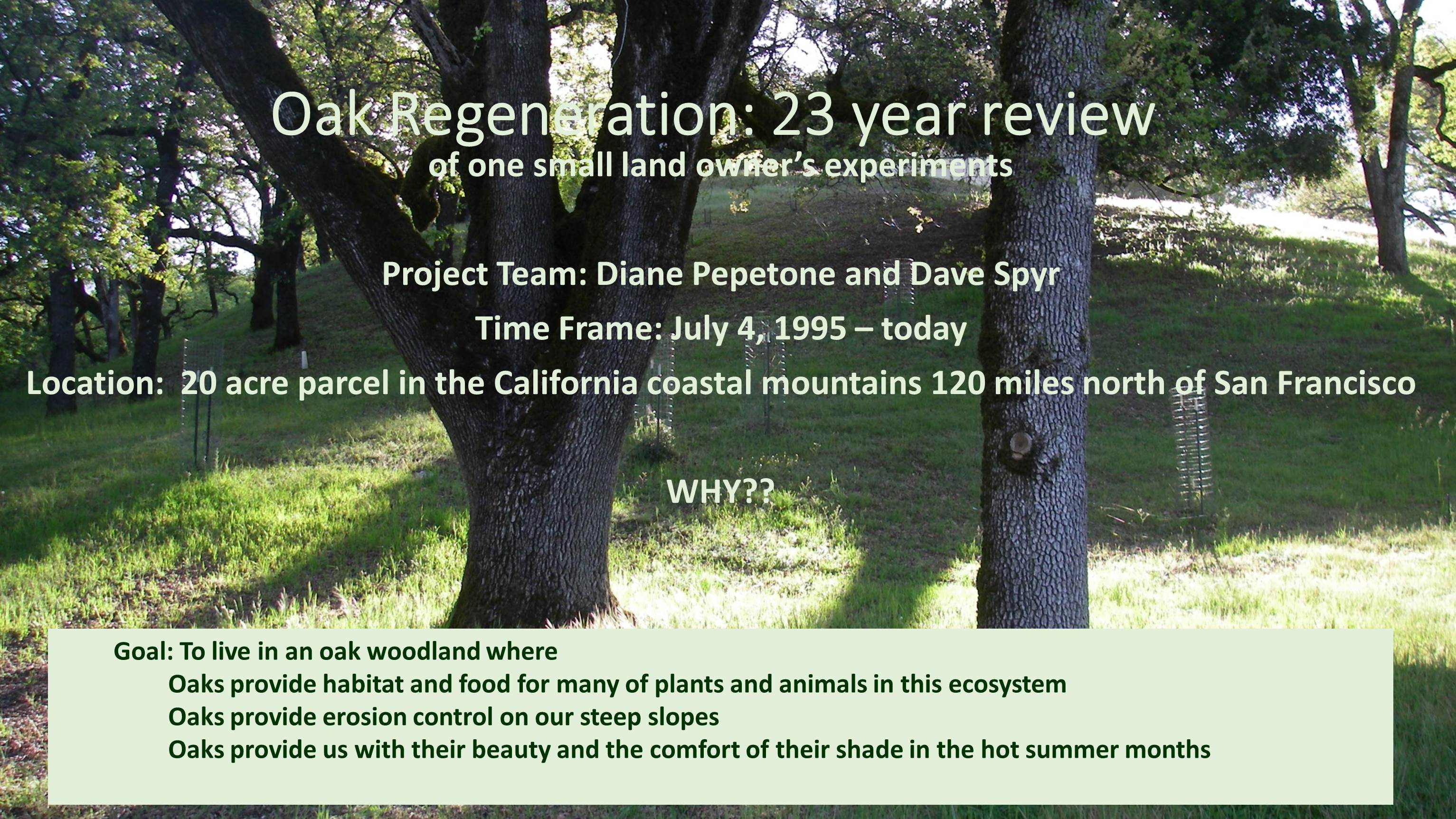 Twenty-two Years of Oak Woodland Conservation | International Oak Society