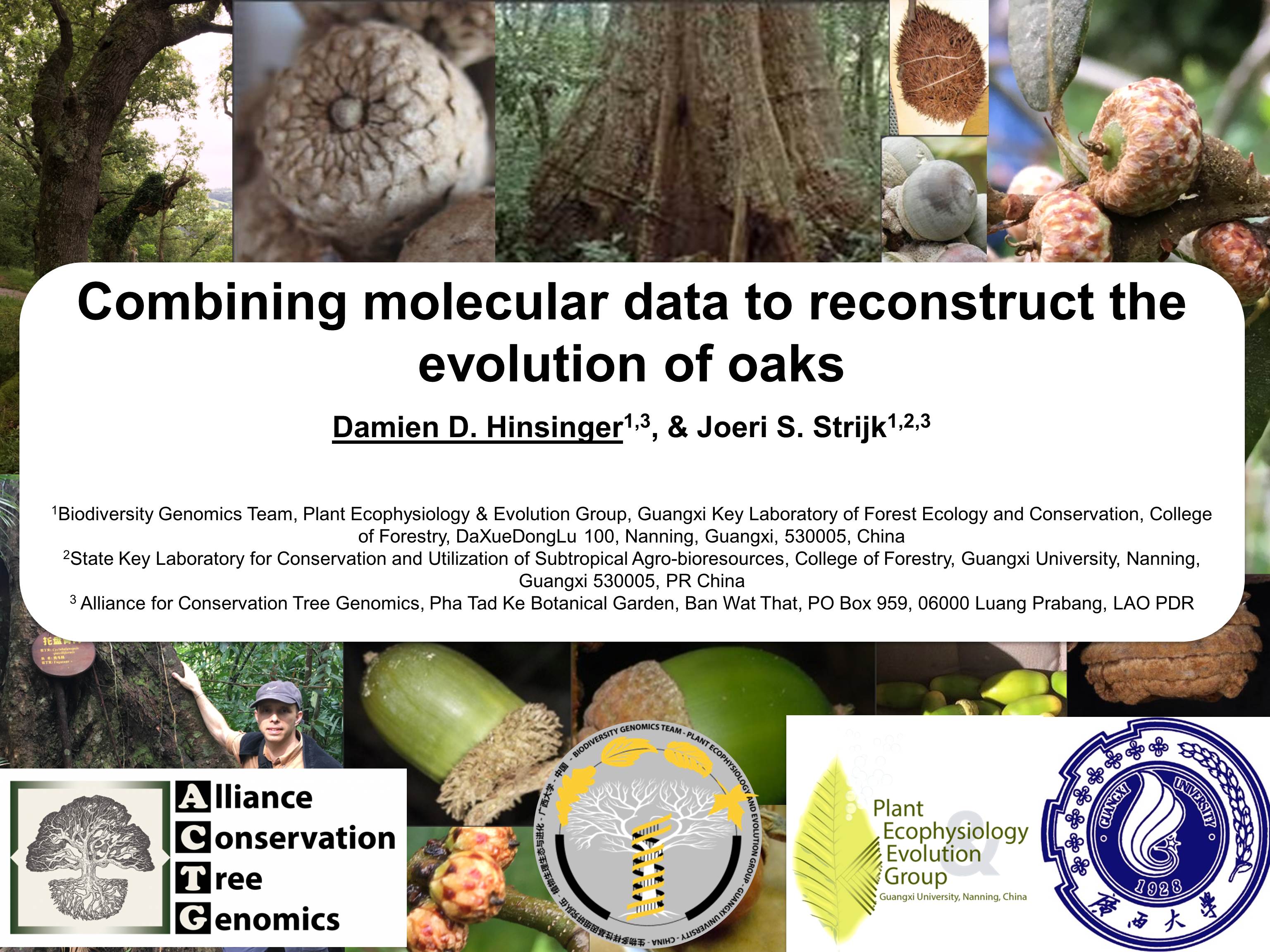 Combining Molecular Data to Reconstruct Oak Evolution | International ...