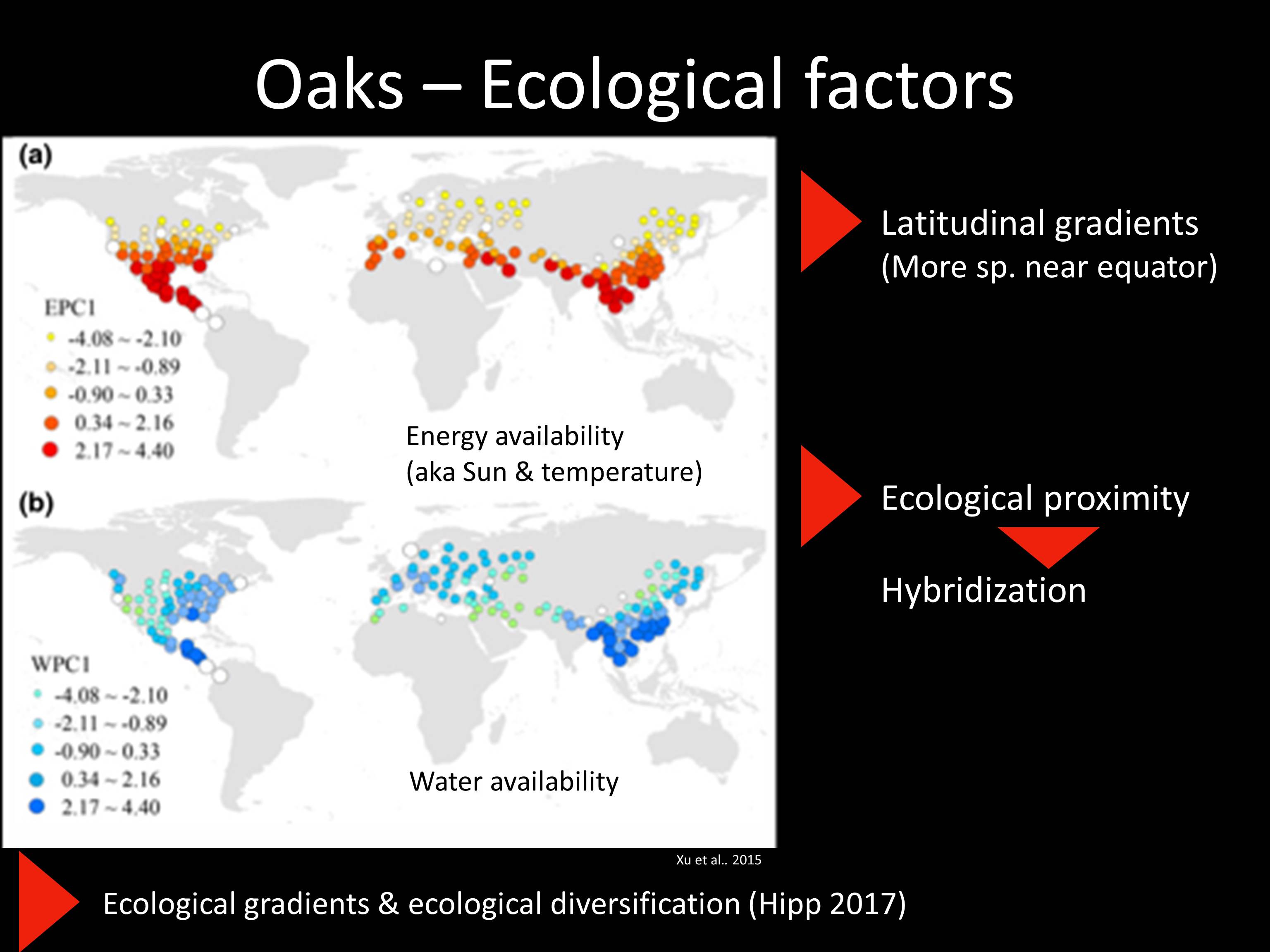 Combining Molecular Data to Reconstruct Oak Evolution | International ...