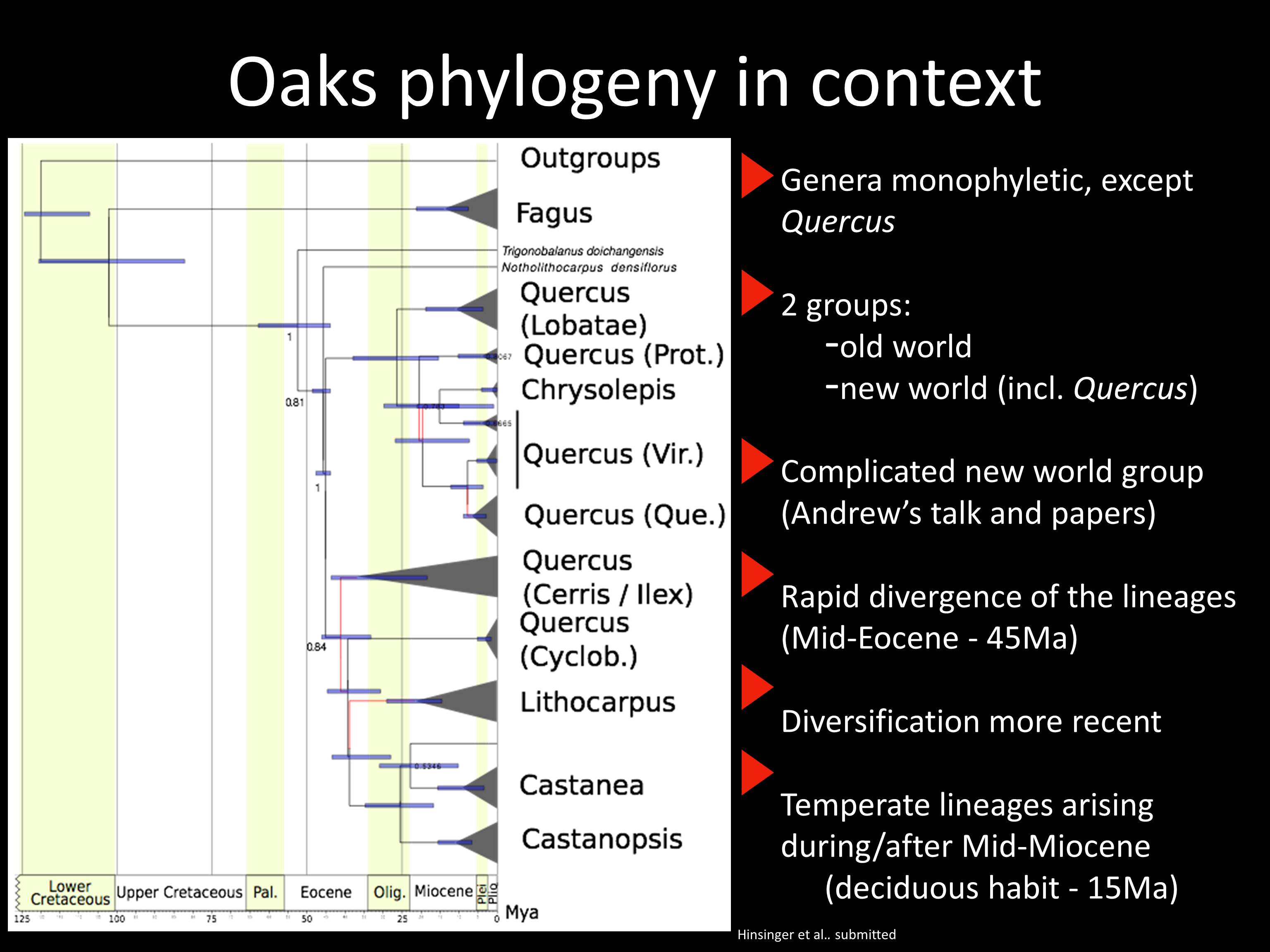 Combining Molecular Data to Reconstruct Oak Evolution | International ...