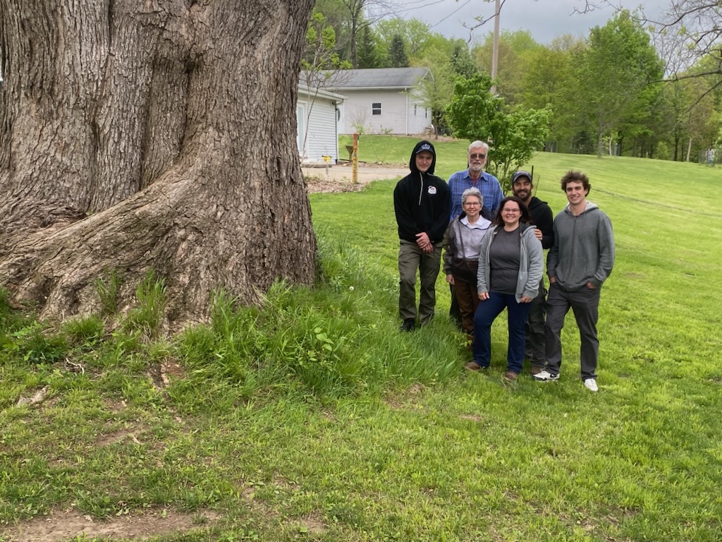 Tornado Strikes Starhill Forest Arboretum | International Oak Society