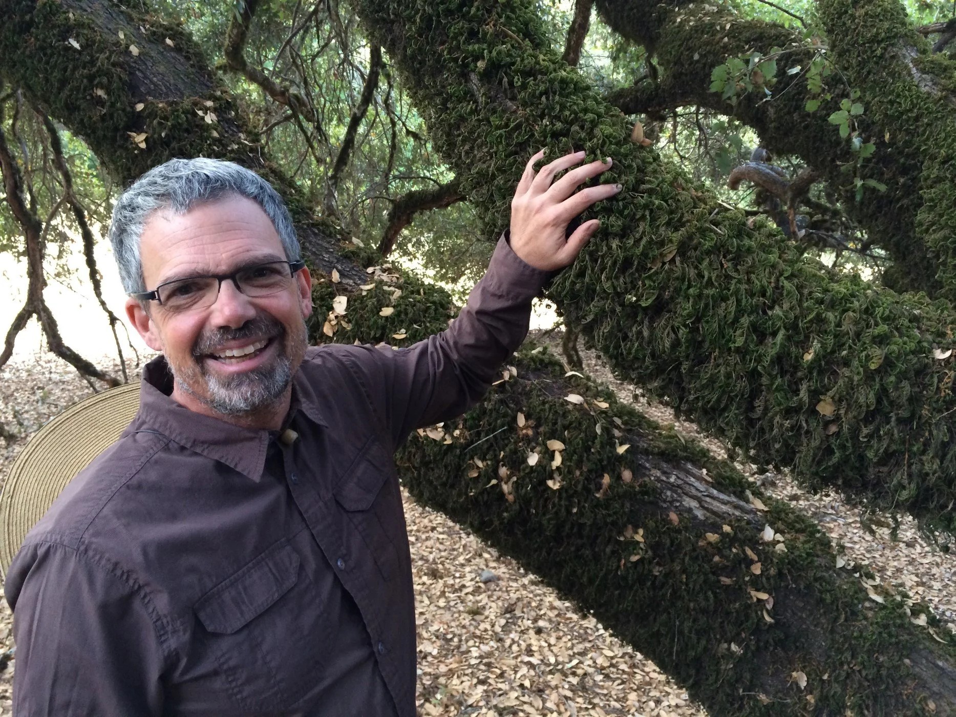 In Memoriam: David J. Muffly (1965–2025) | International Oak Society