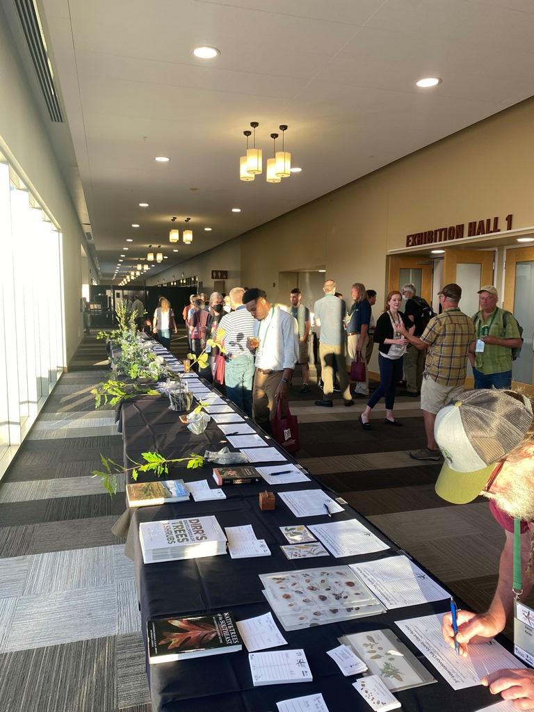 Fourth Triennial Silent Auction: Items Needed | International Oak Society