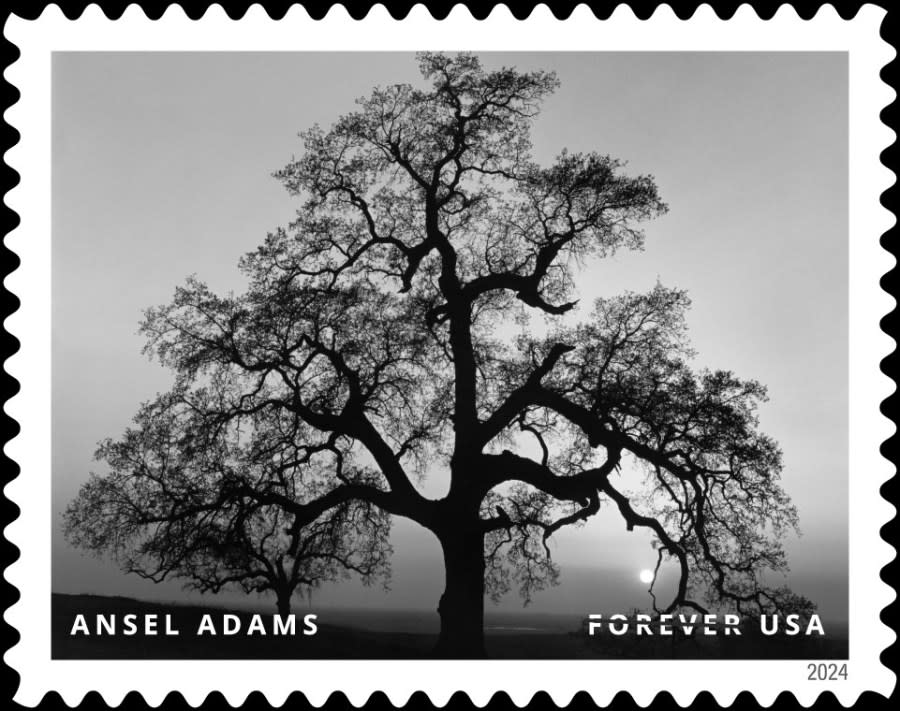 Another Oak on a Stamp | International Oak Society