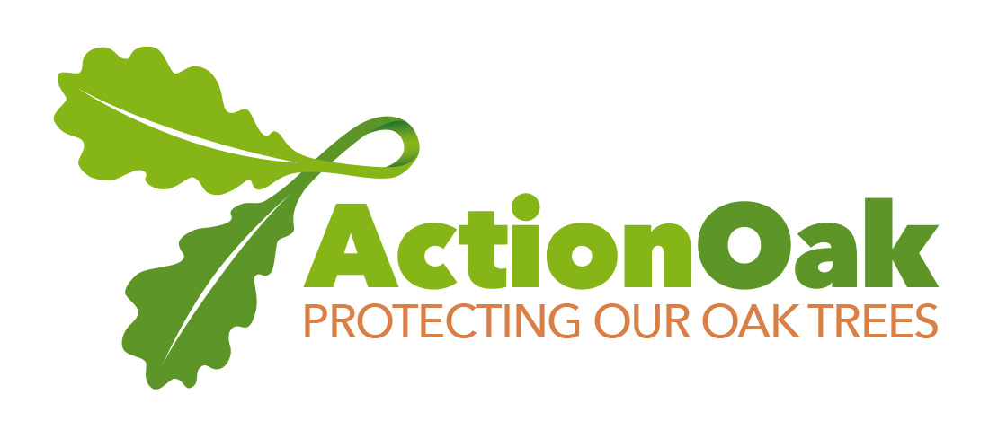 Action Oak Continues to Protect British Native Oaks | International Oak ...