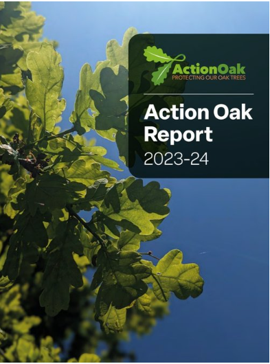 Action Oak Continues to Protect British Native Oaks | International Oak ...