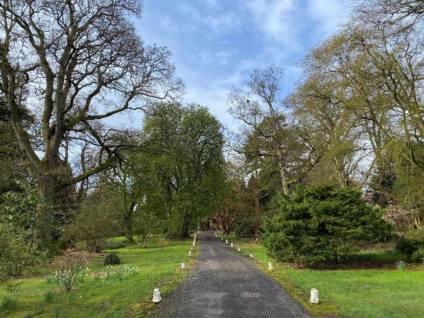 Brook Hall Estate and Gardens | International Oak Society