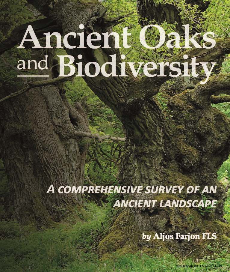 Aljos Farjon on Ancient Oaks | International Oak Society