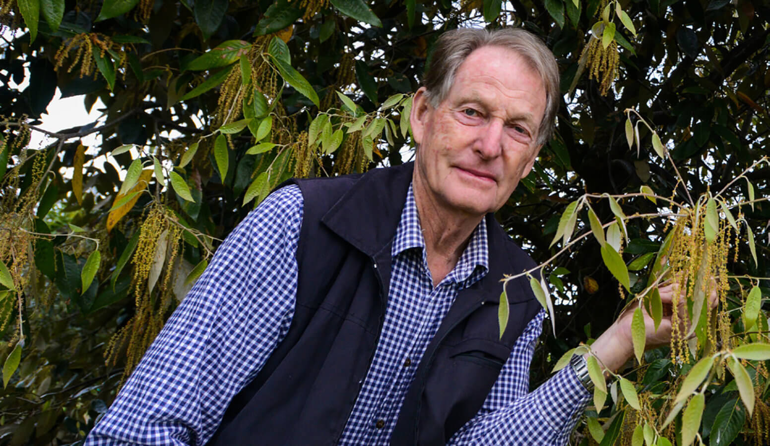 The Himalayan Oak Trust | International Oak Society