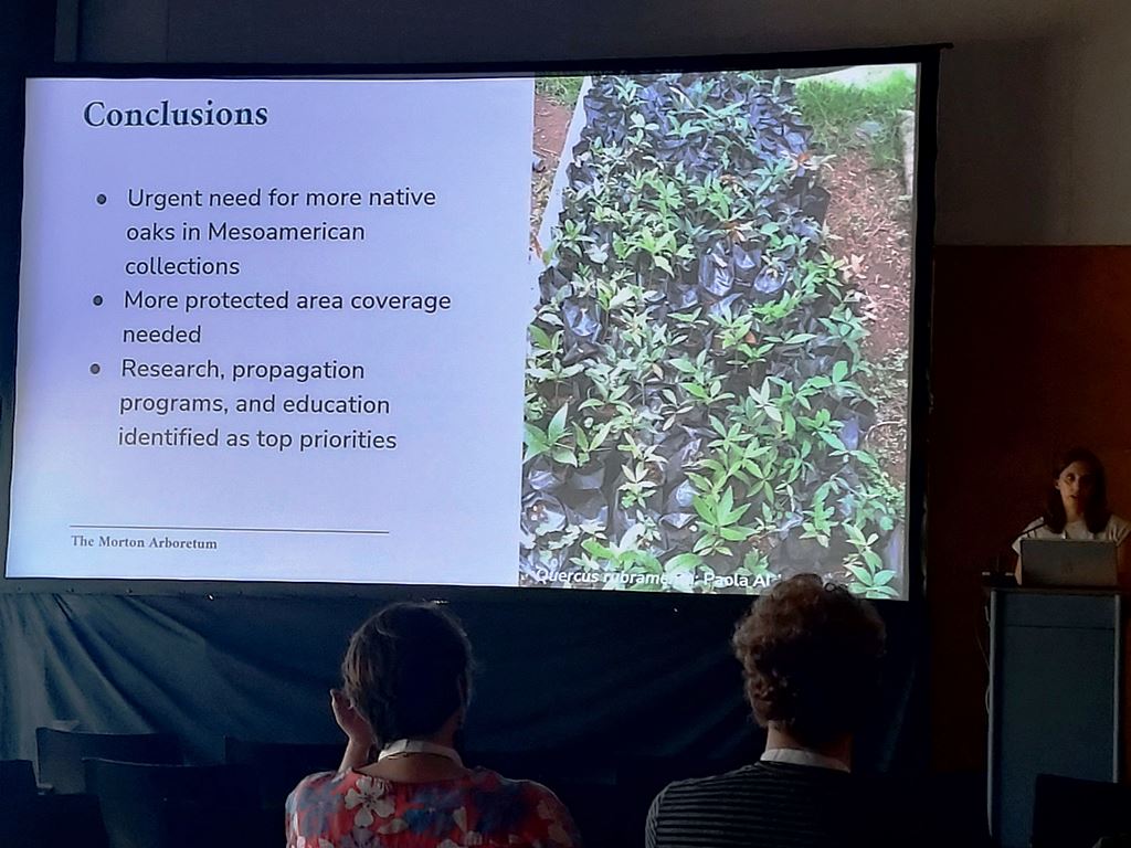 Conservation gap analysis of Mesoamerican oaks: establishing priorities ...