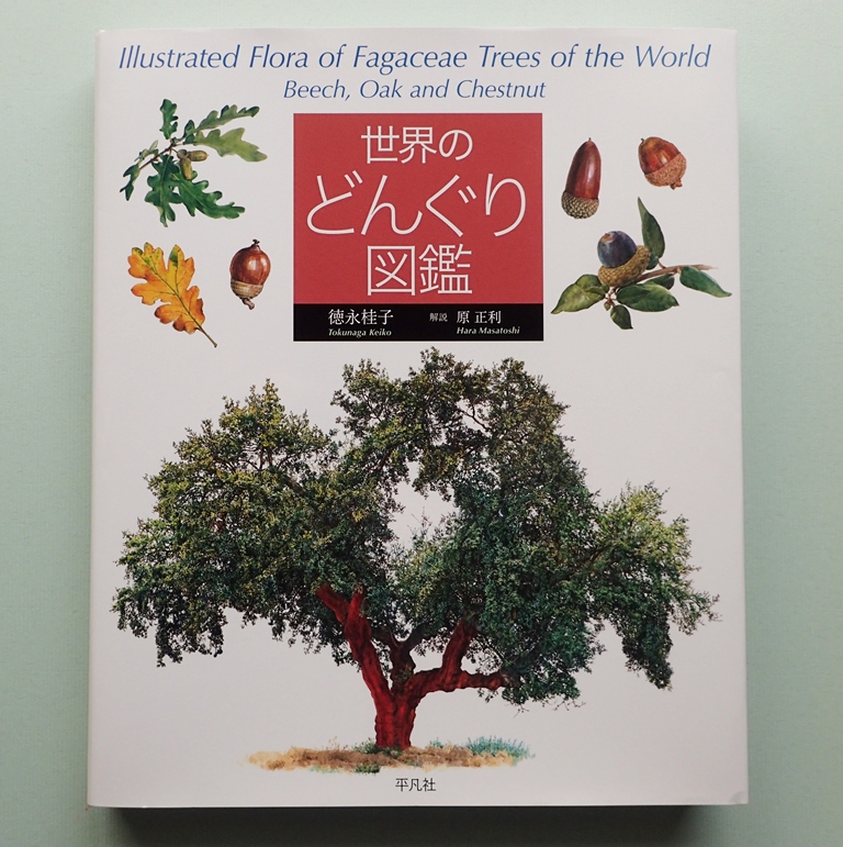 Book Review: Illustrated Flora of Fagaceae Trees of the World ...