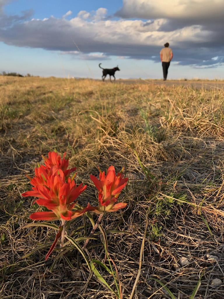 Finding His Roots: Michael Eason's Journey in Conservation ...