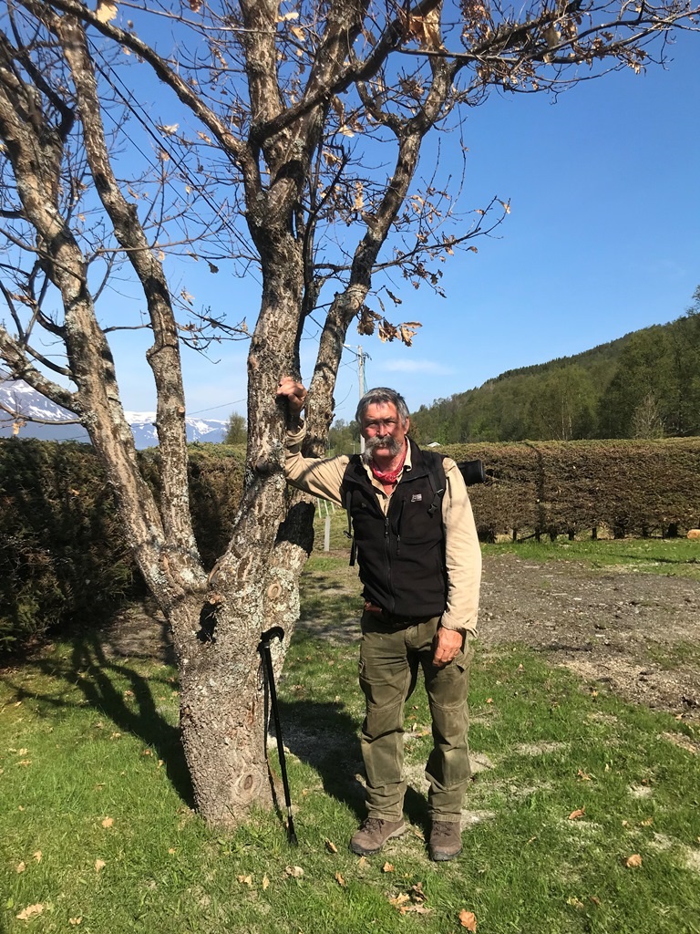(Even More) Northernmost Oaks! | International Oak Society