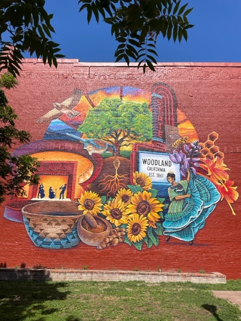 A Valley Oak and Acorns in a New Mural in Woodland, California ...