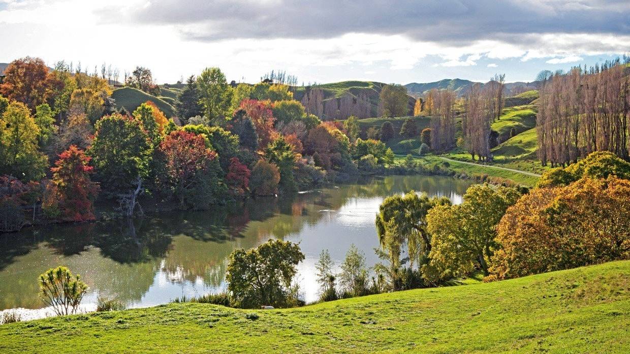 New Zealand Oak Open Days 2025 | International Oak Society