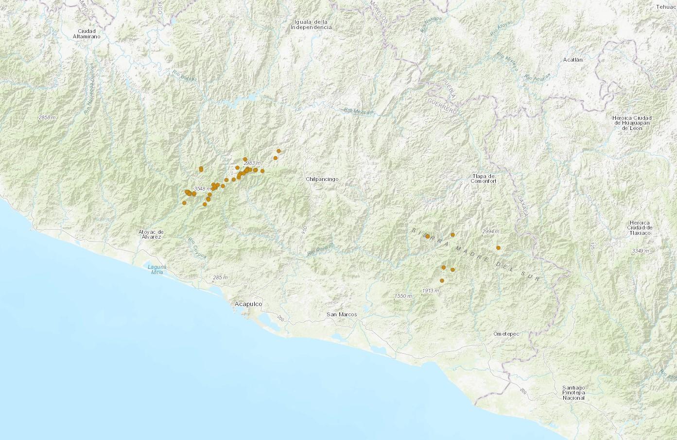 Quercus rubramenta in Guerrero State, a Giant Understudied Tree ...