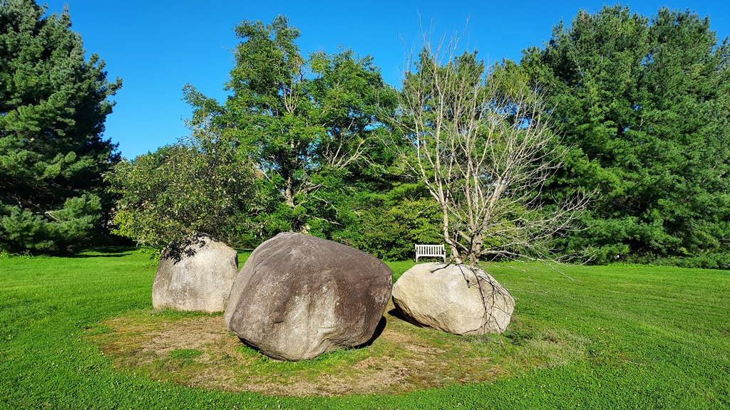 Oaks on the Rocks | International Oak Society