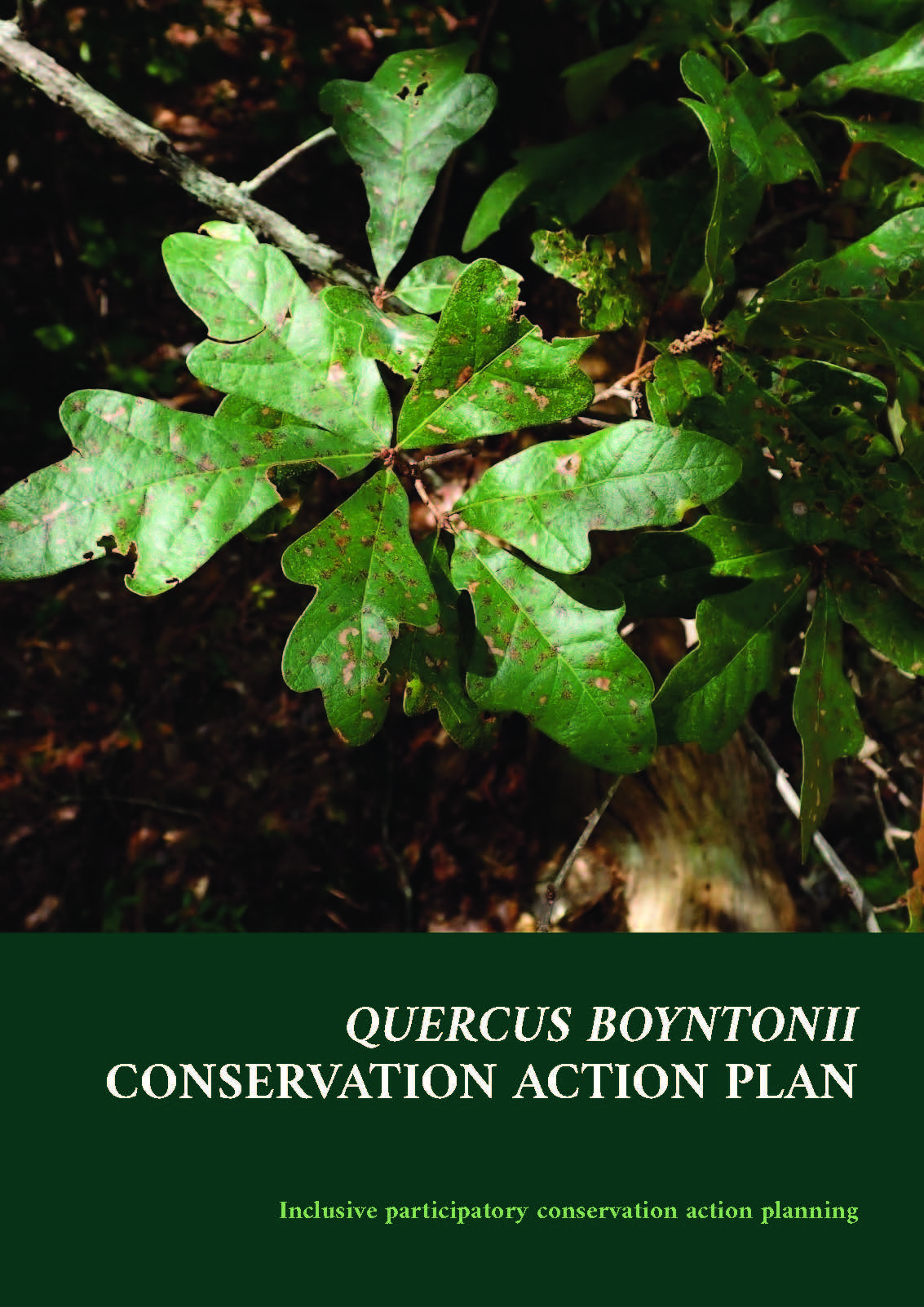 Quercus boyntonii Conservation Action Plan | International Oak Society