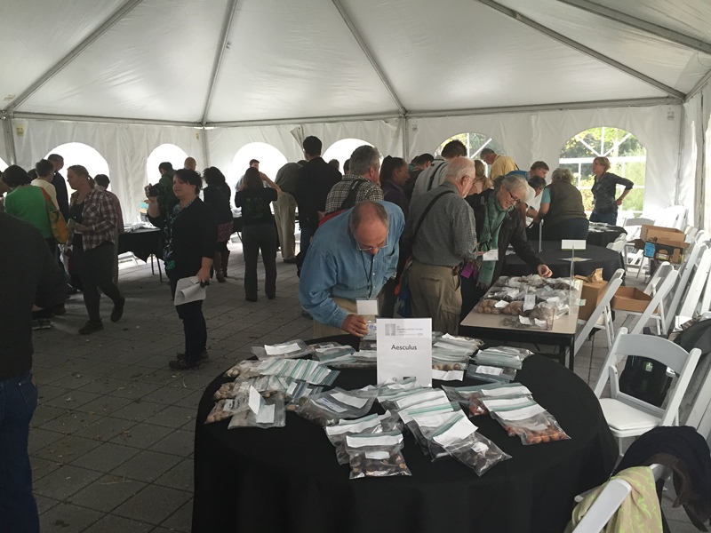 Seed Exchange Guidelines | International Oak Society