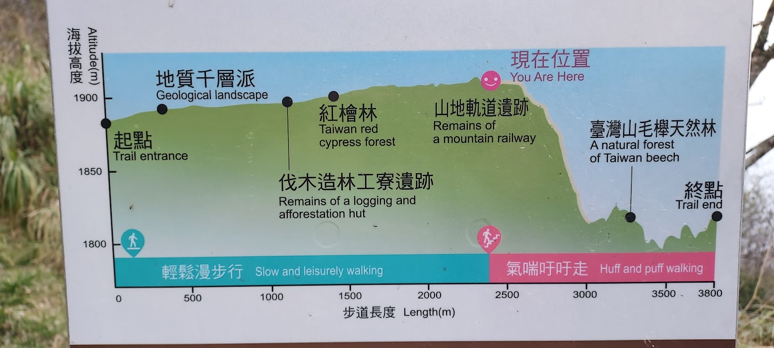 A Journey in Southeastern Taiwan Towards Conservation of Its Fagaceae ...