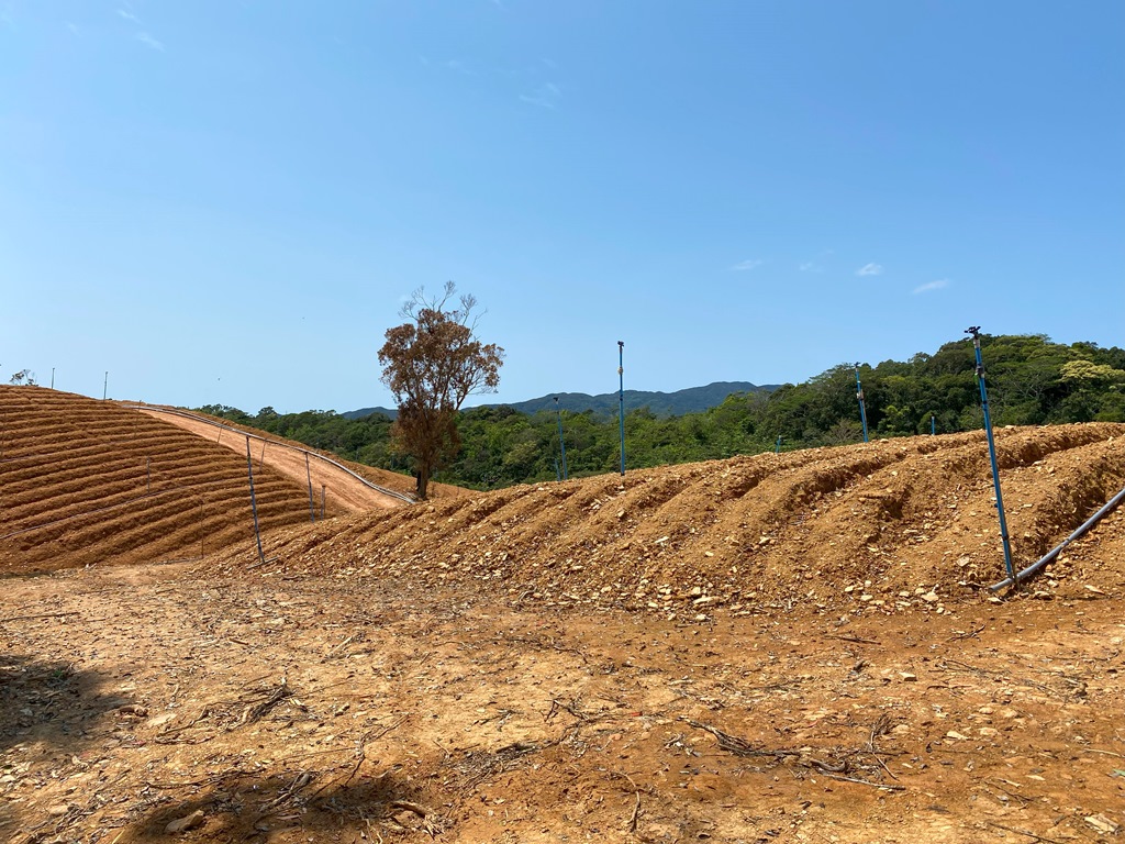 A Journey in Southeastern Taiwan Towards Conservation of Its Fagaceae ...