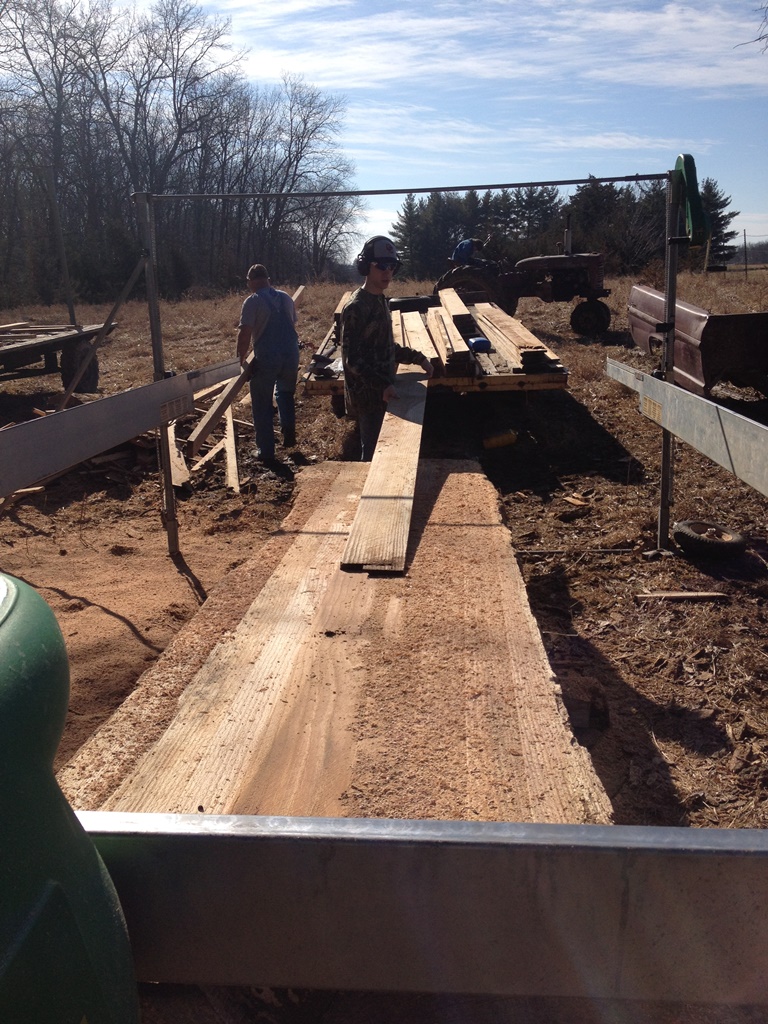 Utilizing Urban Timber | International Oak Society