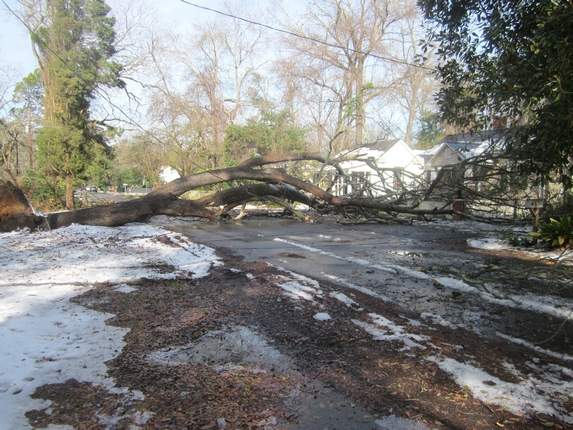 Ice Storm Hits Aiken | International Oak Society
