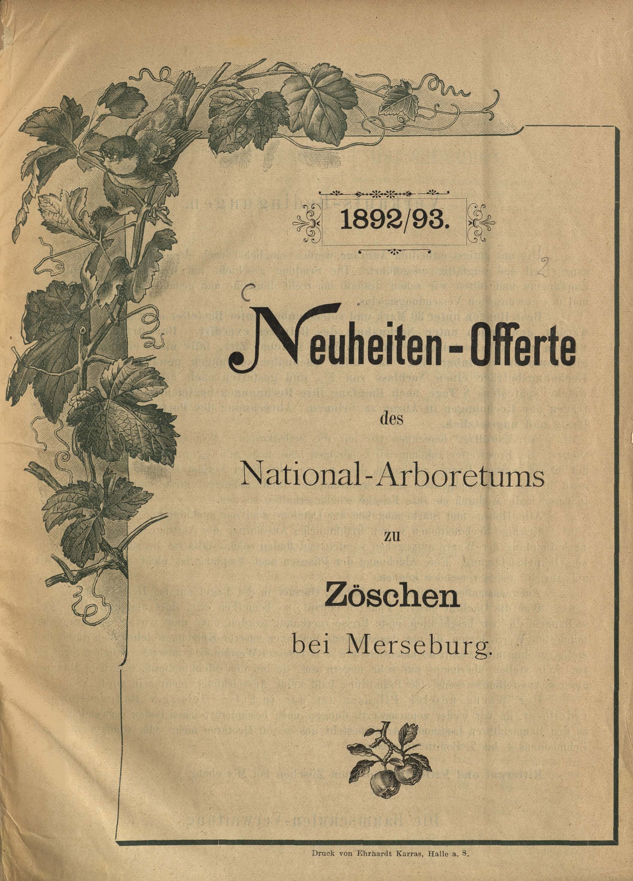 Quercus ×schochiana: In Search of the Correct Place of the First ...