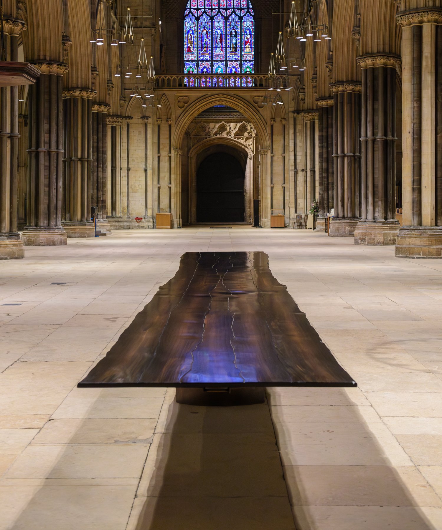 Bog Oak | International Oak Society