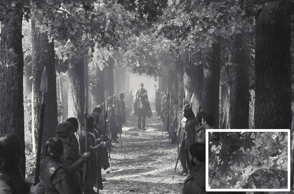 Oaks in Macbeth? | International Oak Society