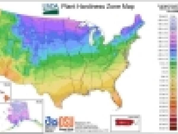 USDA Plant Hardiness Zone Map | International Oak Society
