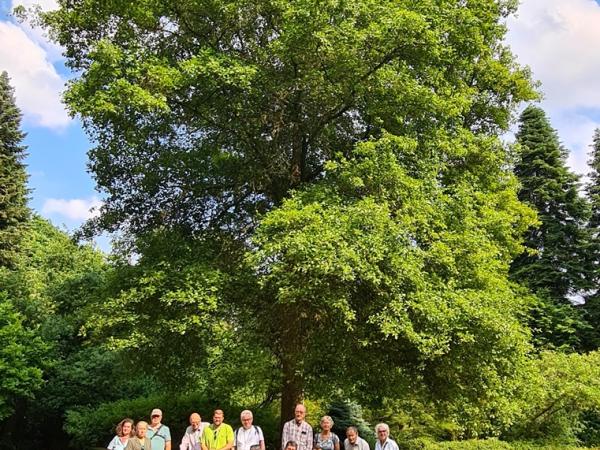 All Articles | International Oak Society
