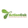 International Oak Society